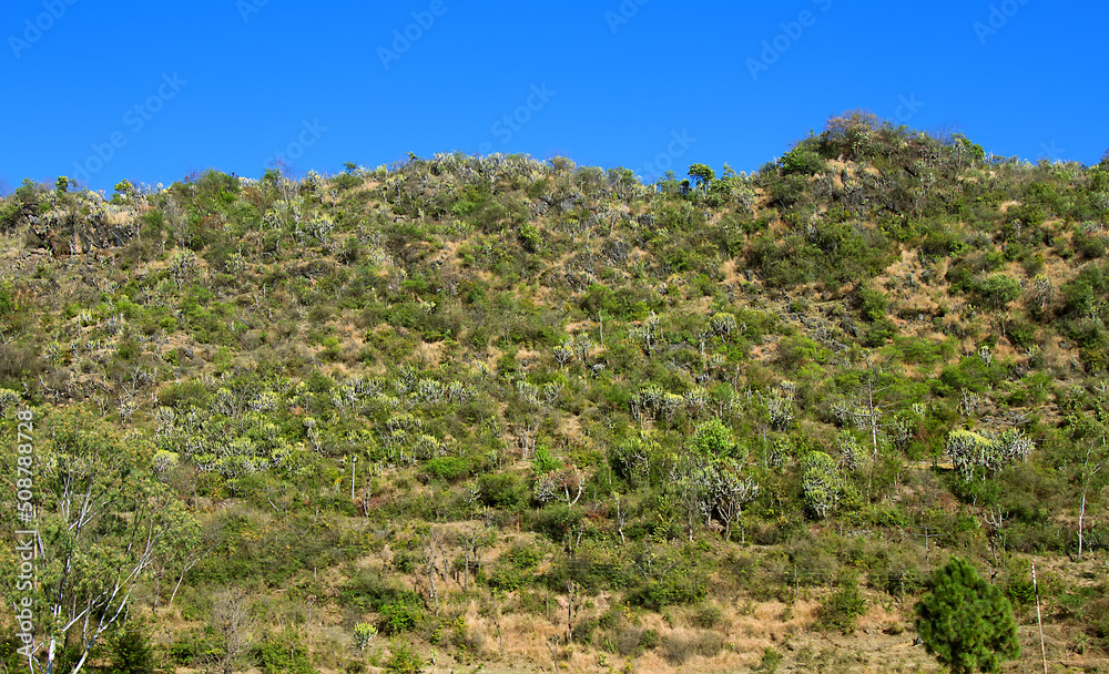 Foto de Mountain dry slopes and valleys in the Siwalik mountains, Pre ...
