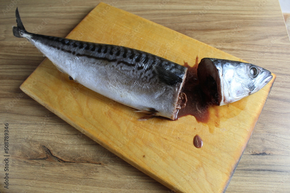 butchering fish. Cut off the head of a mackerel fish on a cutting board ...