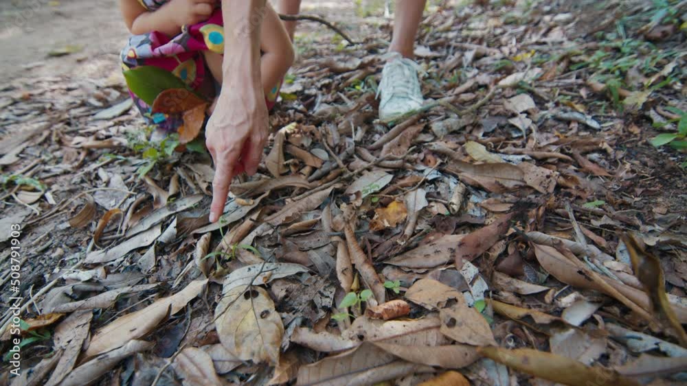 Girl explores wonders of the nature. Toddler girl and her mother watch ...