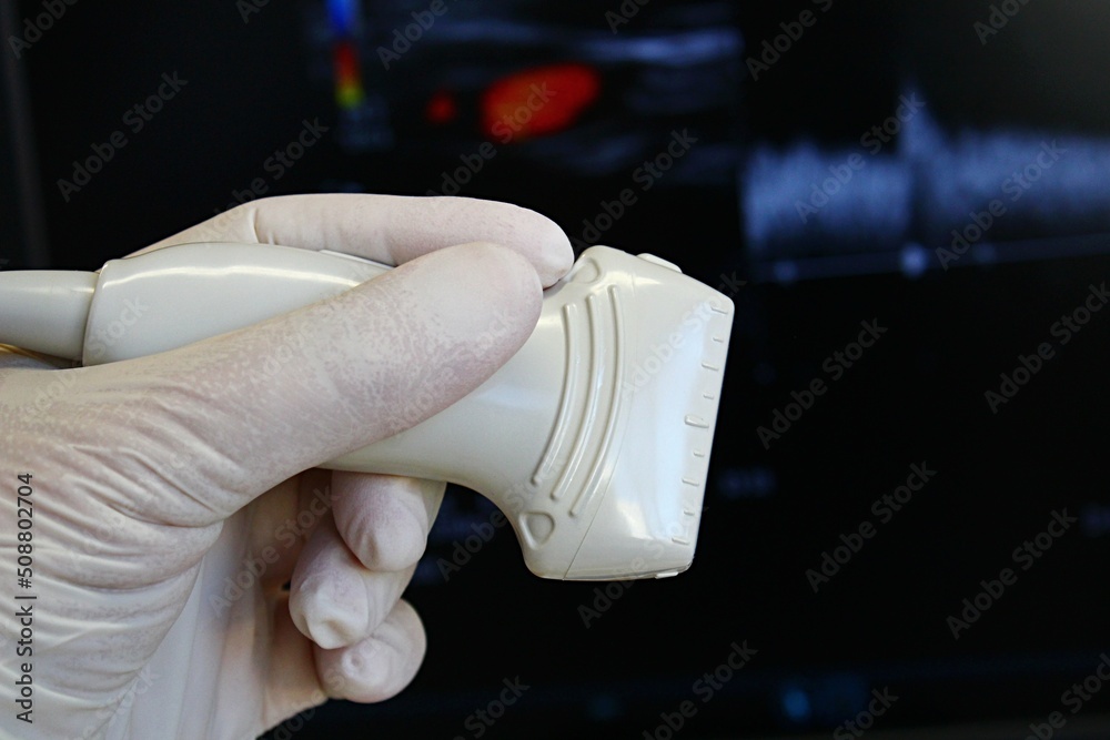 Detail of modern linear ultrasound probe held in left hand of doctor in ...