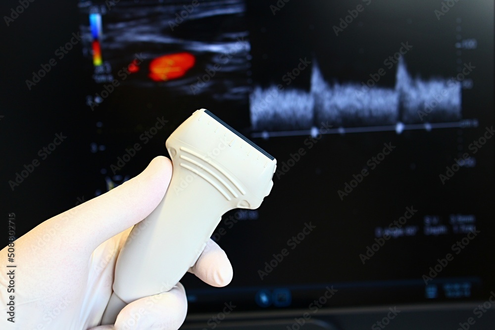 Modern ultrasound linear diagnostic probe held in left hand in blue ...