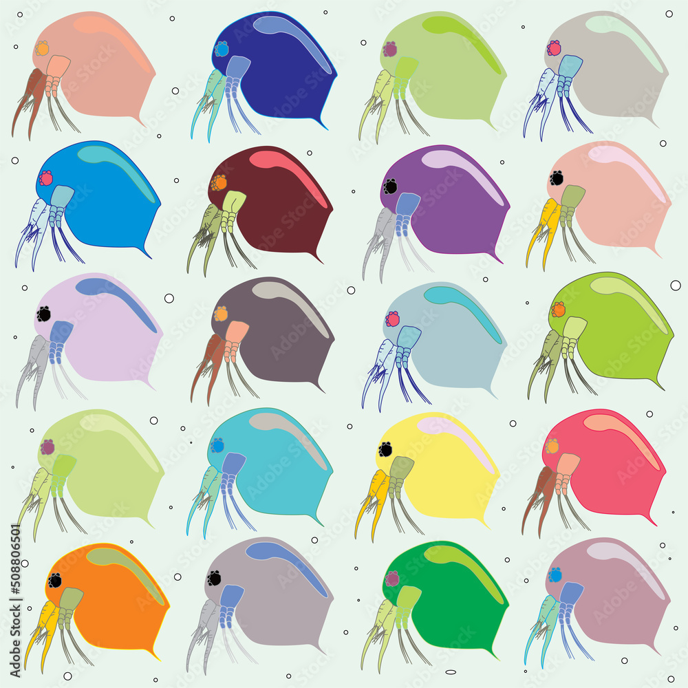 The seamless vector of a water flea (cladoceran) is a small group of ...