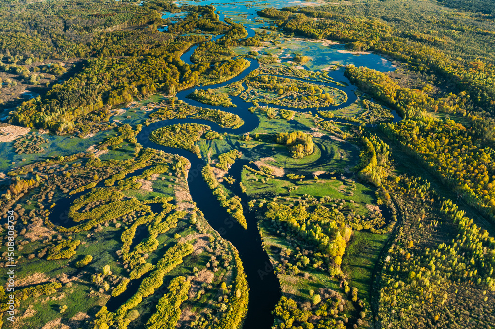 Aerial View Green Forest Woods And River Landscape In Sunny Spring ...