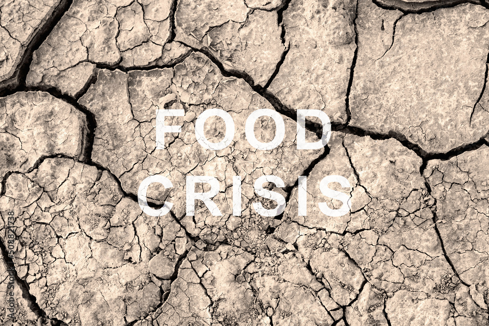 Food crisis. World hunger. Failed grain crops. The shortage of bread ...