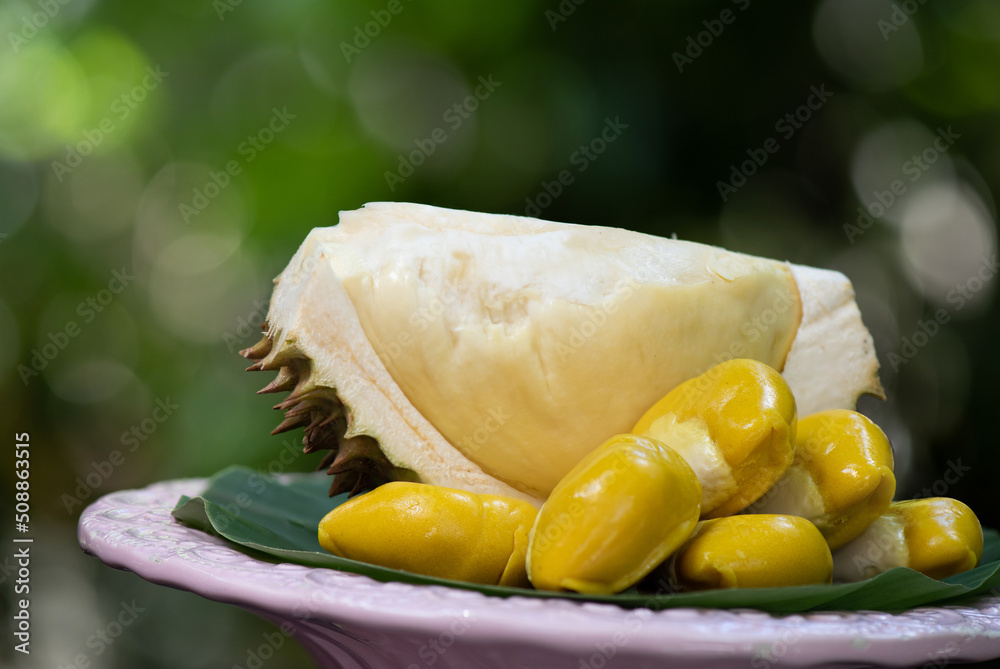 Durian fruits and alua durian snack on nature background. Stock Photo ...