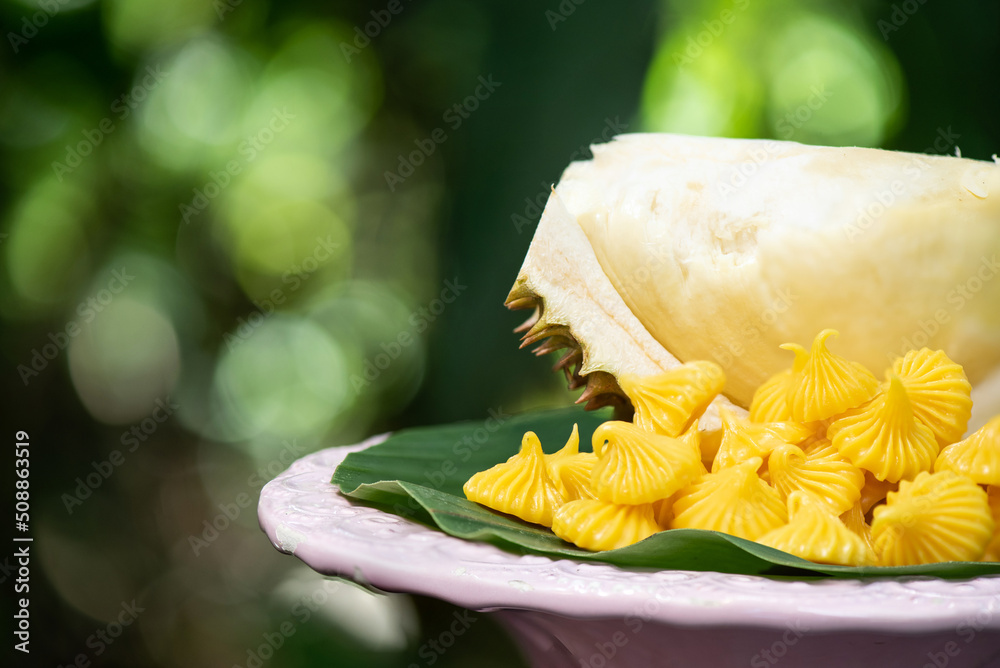 Durian fruits and alua durian snack on nature background. Stock Photo ...