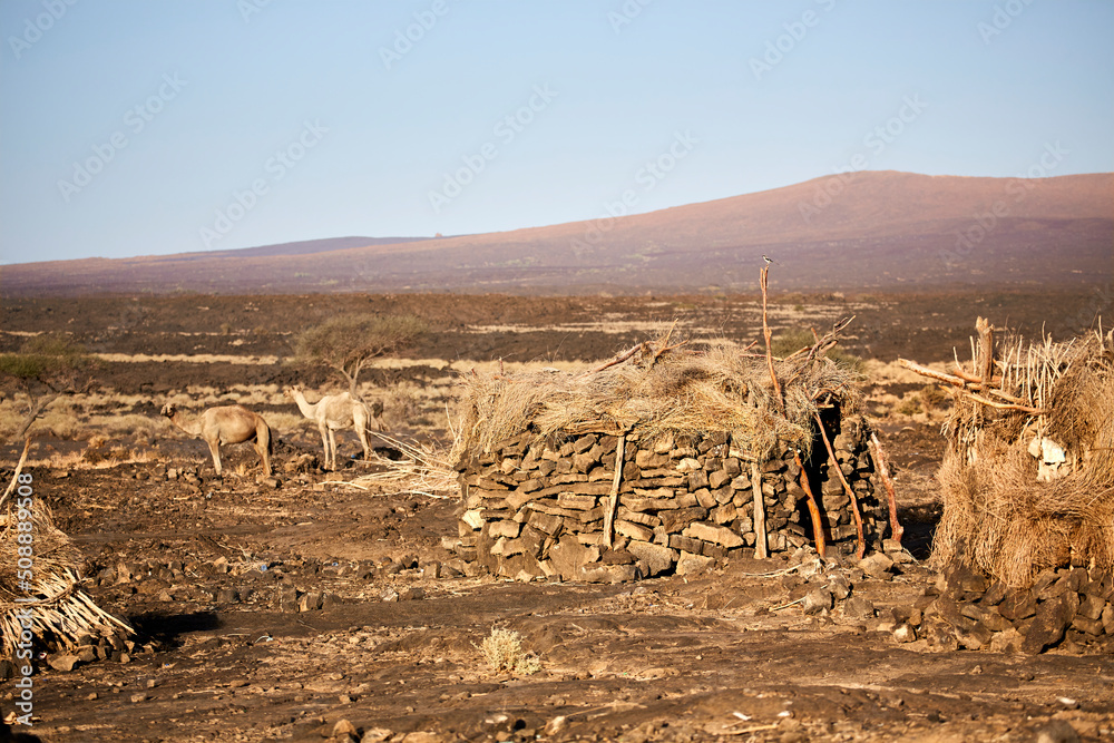 12. The shelters at Erta Ale volcano, built by stacking purple-red ...