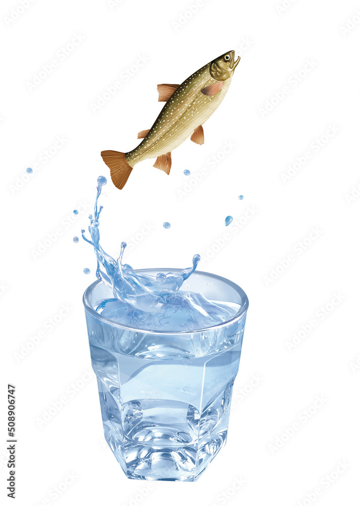 omble chevalier , poisson, sauter, évasion, eau, en verre, boire ...