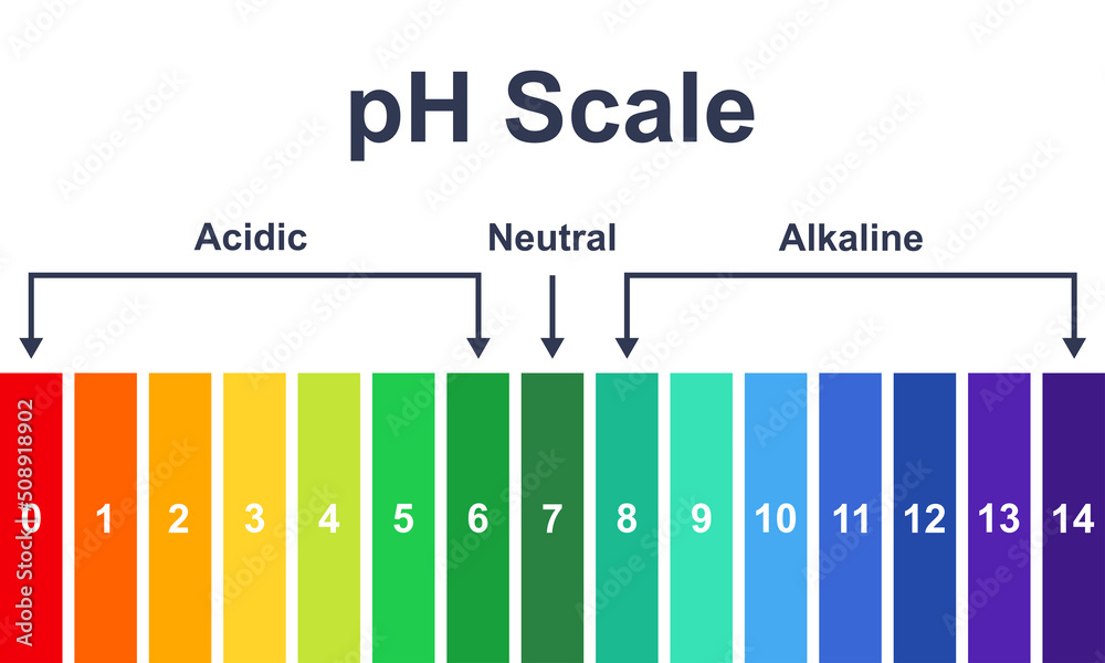 Chart ph acidic, neutral and alkaline scale. Ph value scale chart ...