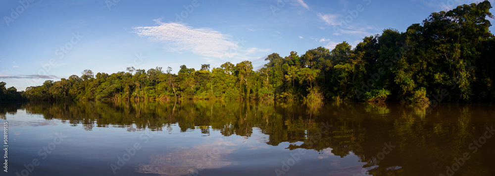 Amazonia - wall of green tropical forest of the Amazon jungle, green ...