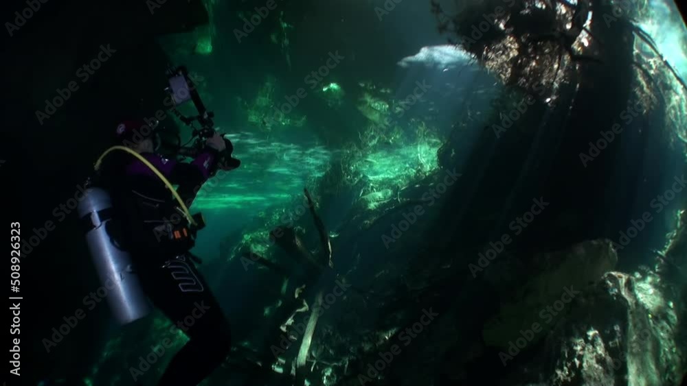 Diver over muddy water halocline near tree roots and sudden change of ...