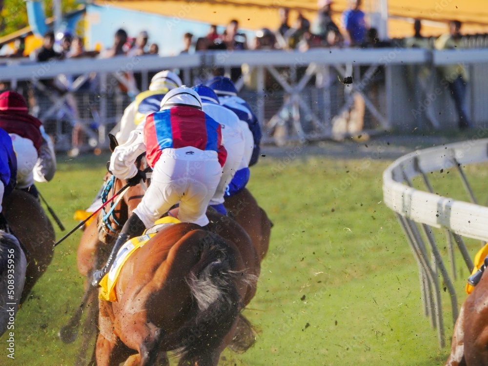 Back view of horses racing with crowd in background Stock Photo | Adobe ...