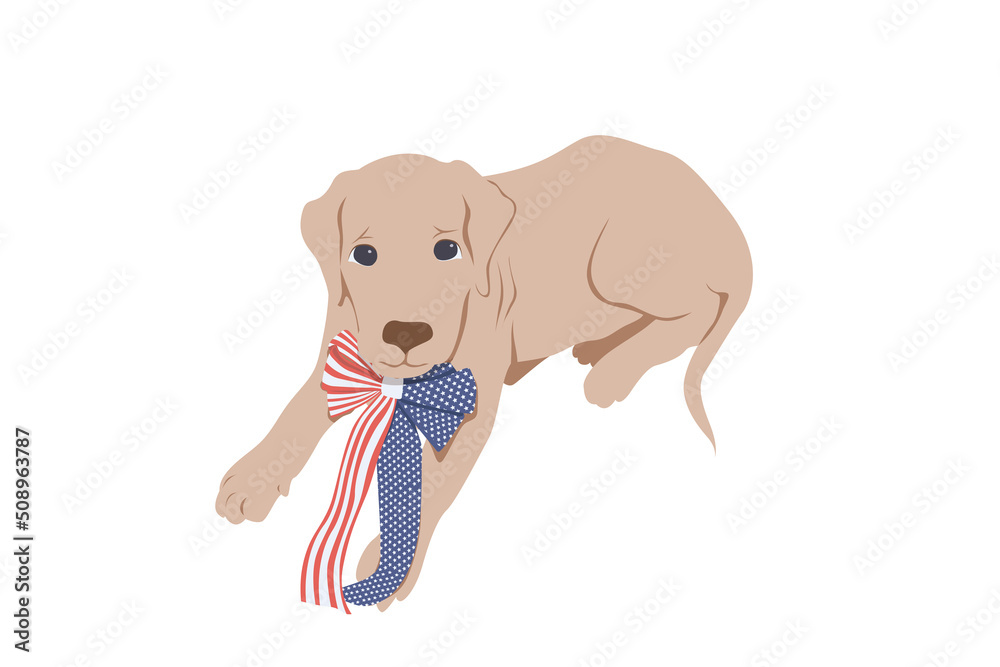 Independence Day. Adorable Labrador patriot holds the USA. Hand drawn ...