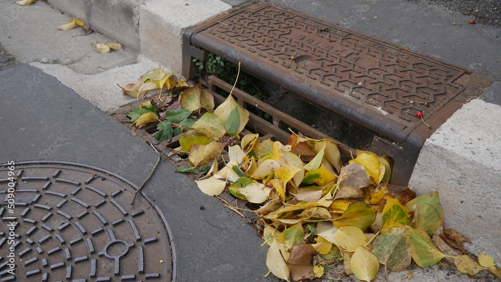 Bouche d'égout à moitié bouché par des feuilles mortes, obstruaction d ...