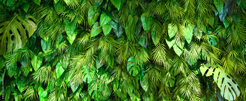 Landscaping wall texture background, vertical garden with green plants ...