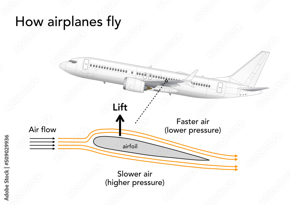 Poster Infographic explaining how airplanes generate lift and fly ...