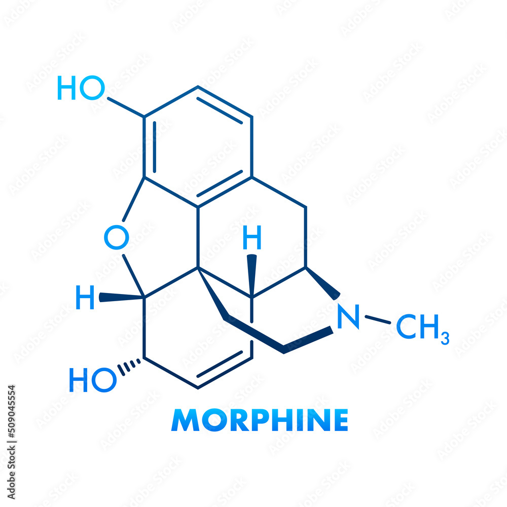 Morphine concept chemical formula icon label, text font vector illustration Stock Vector | Adobe ...