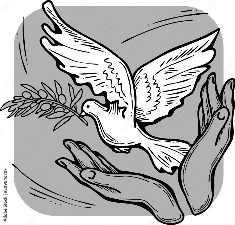 White dove of peace in our hands. Two palms care for peaceful world ...