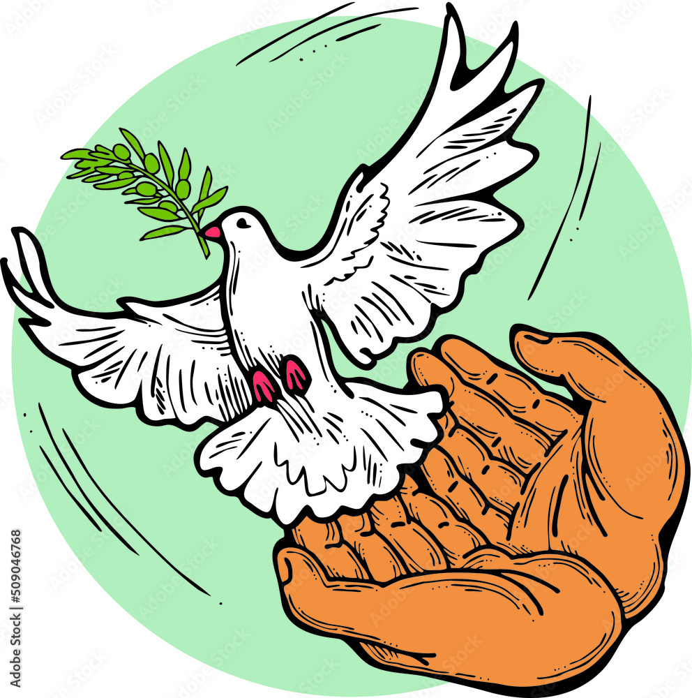 White dove of peace in our hands. Two palms care for peaceful world ...