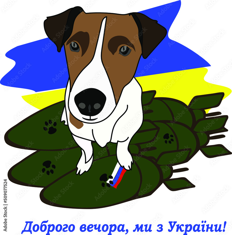 Smart sapper dog with the Ukrainian flag and shells named Patron. meme ...
