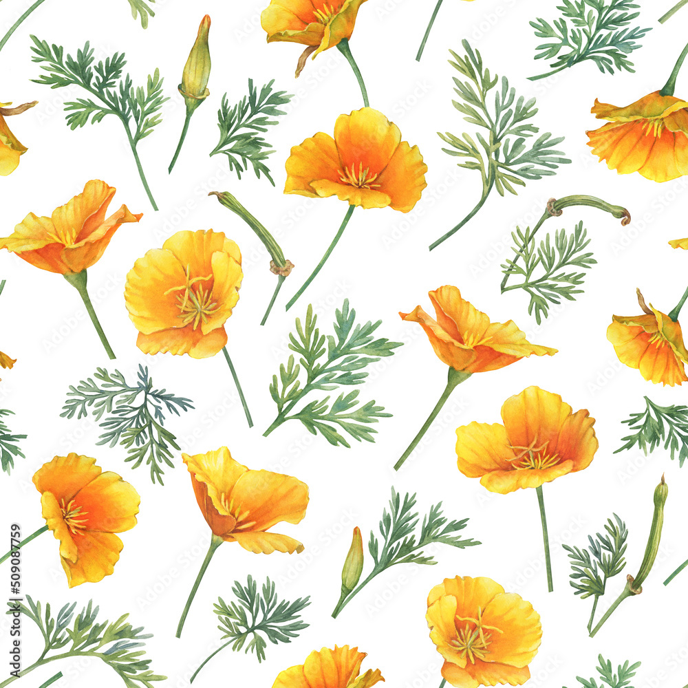 Seamless pattern with gold poppy flower (golden Eschscholzia ...