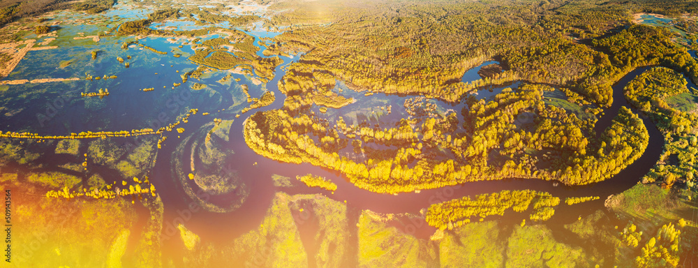 Aerial View Green Forest Woods And River Landscape In Sunny Spring ...