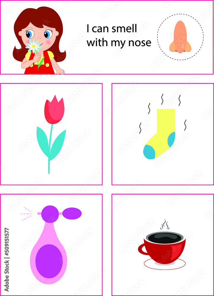 Cute girl is smelling with nose of objects. Funny montessori game for ...