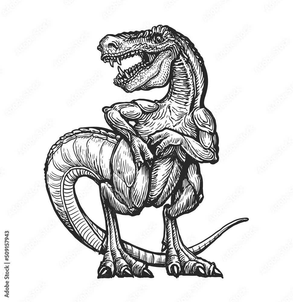Tyrannosaurus sketch. Prehistoric carnivorous roaring dinosaur vector ...