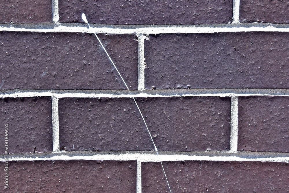 Poster Accidental Art formed by diagonal Paint drip on orthogonal ...