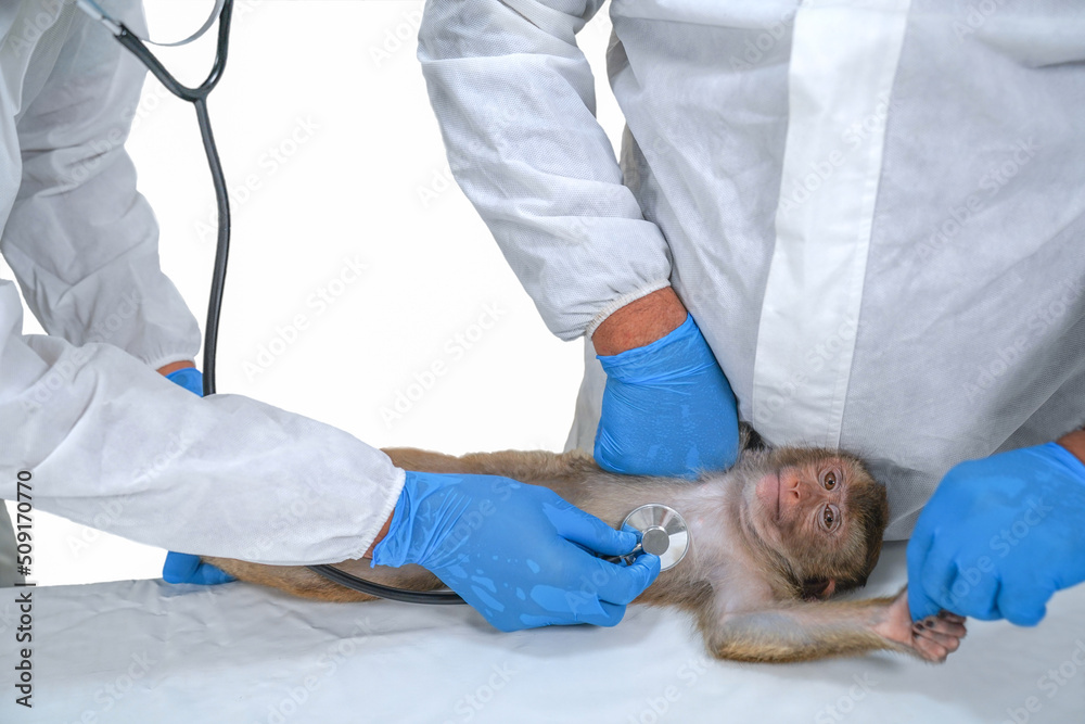 Monkeypox is a viral disease transmitted from animals to humans. A ...