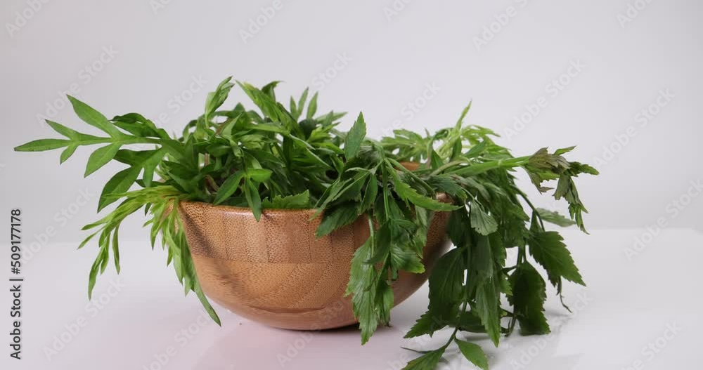 Malaysian Malay herbal leafy appetizer dish daun ulam raja selom lovage ...