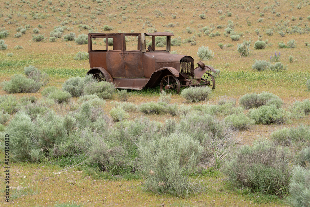 1929 Ford Model A four door sedan, forgotten in a field near moro on ...