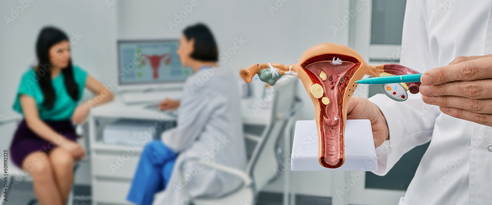Diagnostic and medical care of gynecological disease. Gynecologist ...