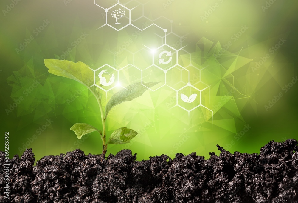 Microelements for plants nutrition. Factors necessary for the process ...