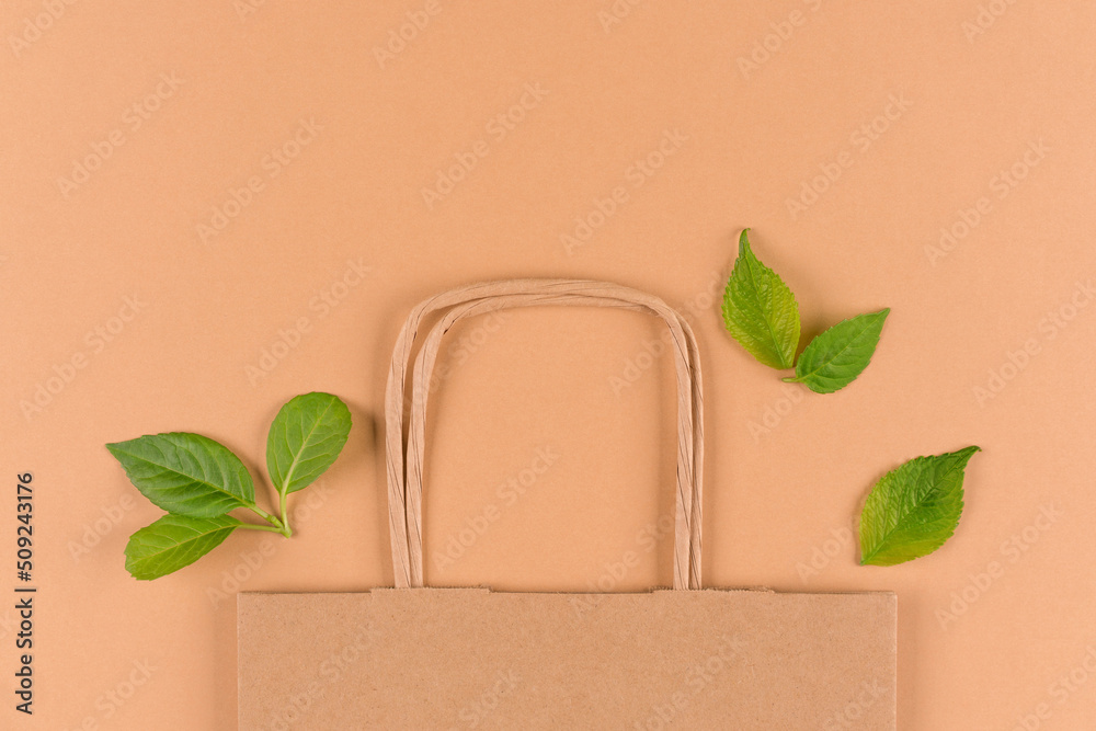 Kraft paper shopping bag with green leaves over light brown background ...