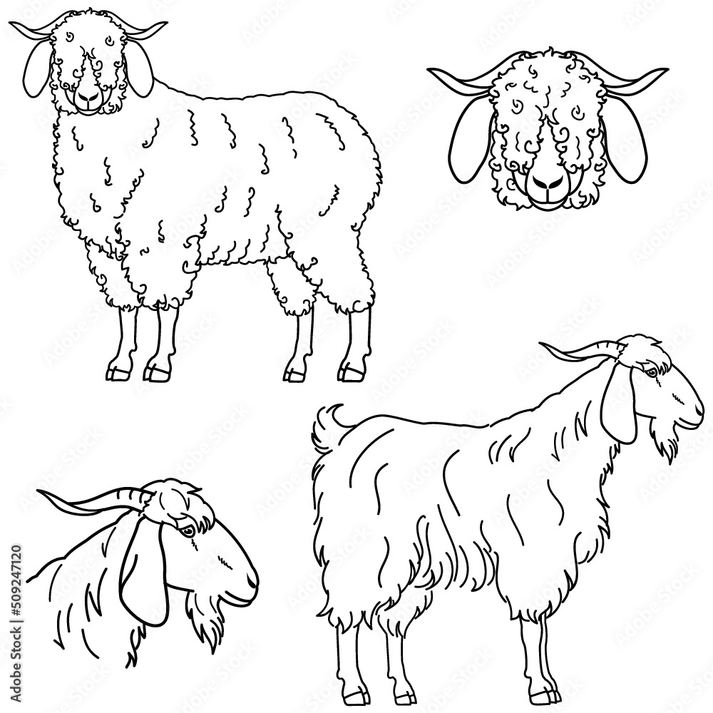 fiber goat line art set Stock Vector | Adobe Stock