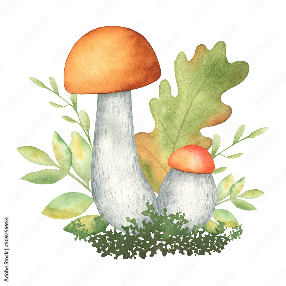 Watercolor fall mushroom clipart. Autumn forest composition with ...