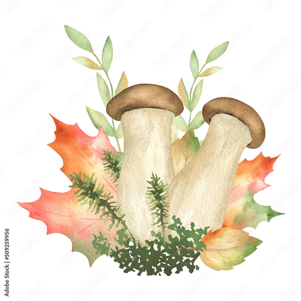 Watercolor fall mushroom clipart. Autumn forest composition with ...