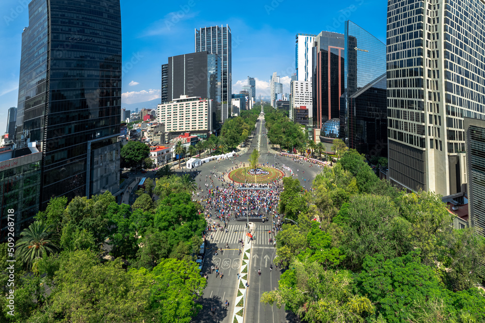 Aerial view of ahuehuete tree Guardian of Missing Persons Mexico City ...