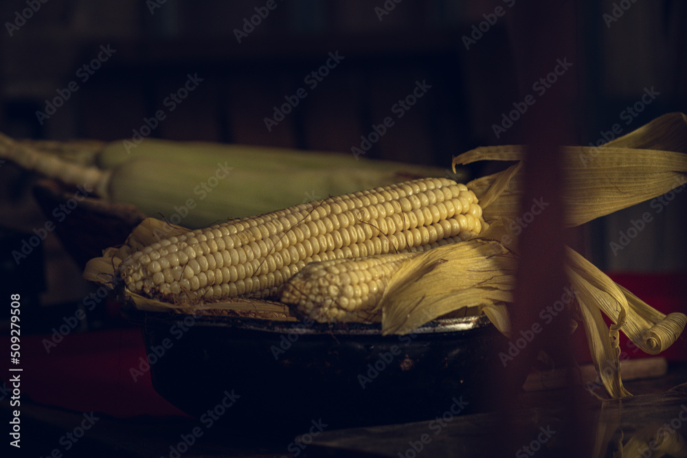 Corn, Elote, granos de elote Stock Photo | Adobe Stock