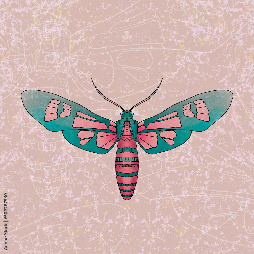 Mariposa turquesa, verde y rosada con fondo salpicado y con líneas ...