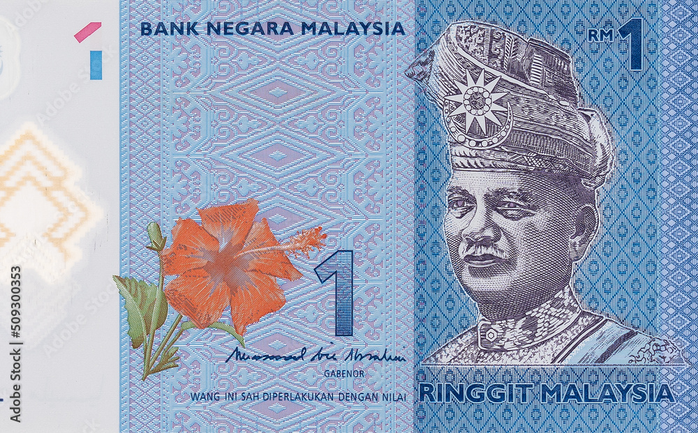 Close up on Malaysian Ringgit banknote. Malaysian money or bank notes ...