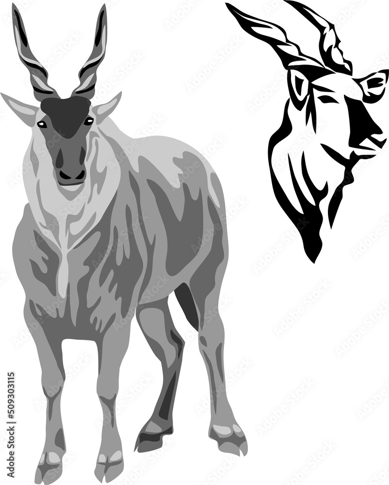 Eland bull - vector illustration Stock Vector | Adobe Stock