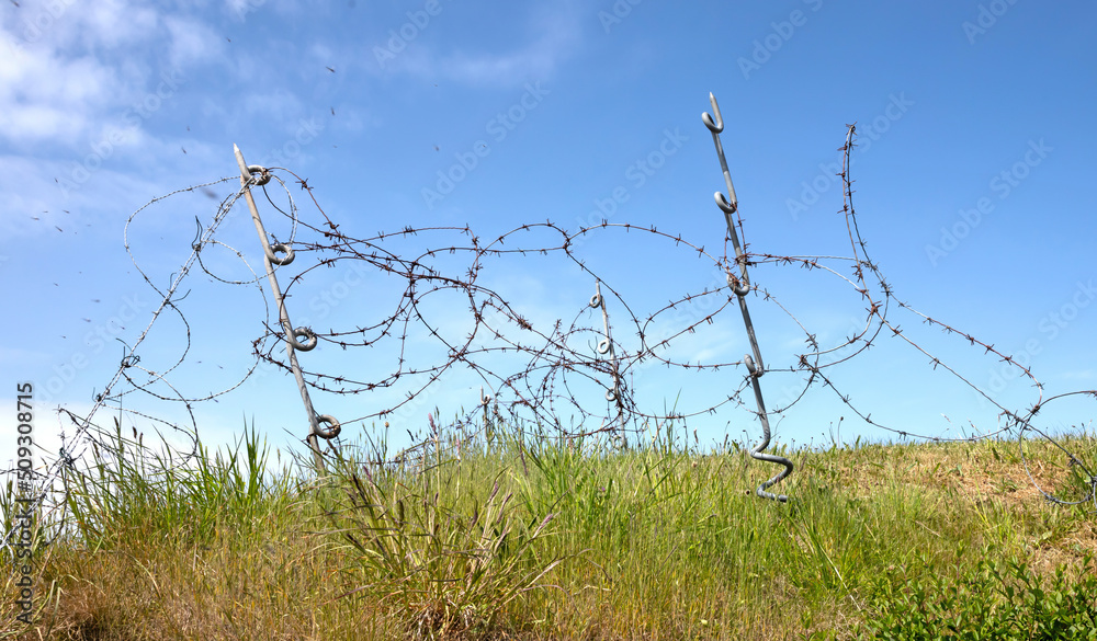 Barbed wire at an old bunker from WW2 Stock 写真 | Adobe Stock