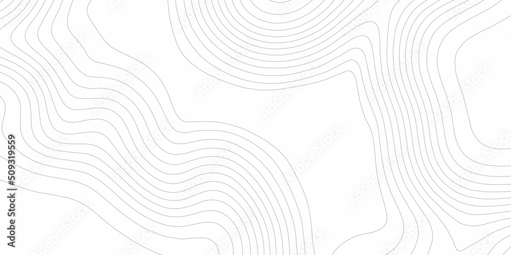 Vector contour topographic map background. White wave paper curved ...