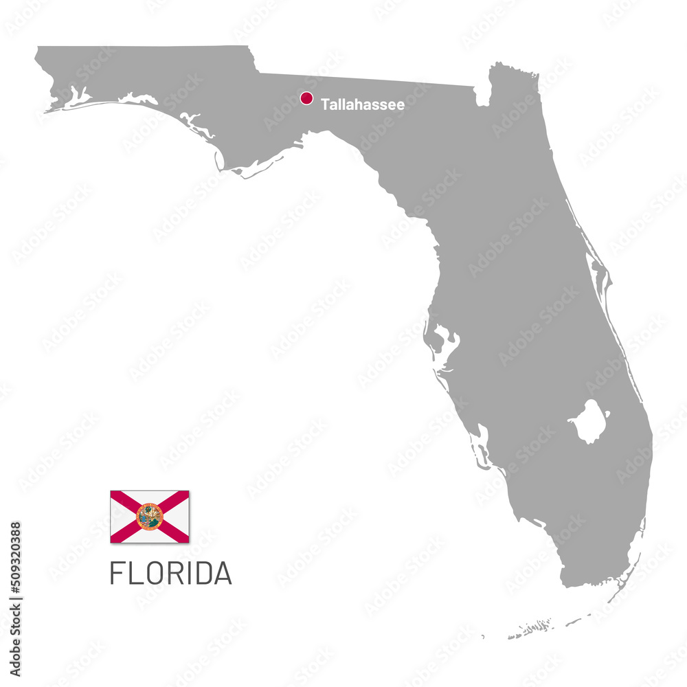 Florida county outline gray map and national flag. Silhouette of ...