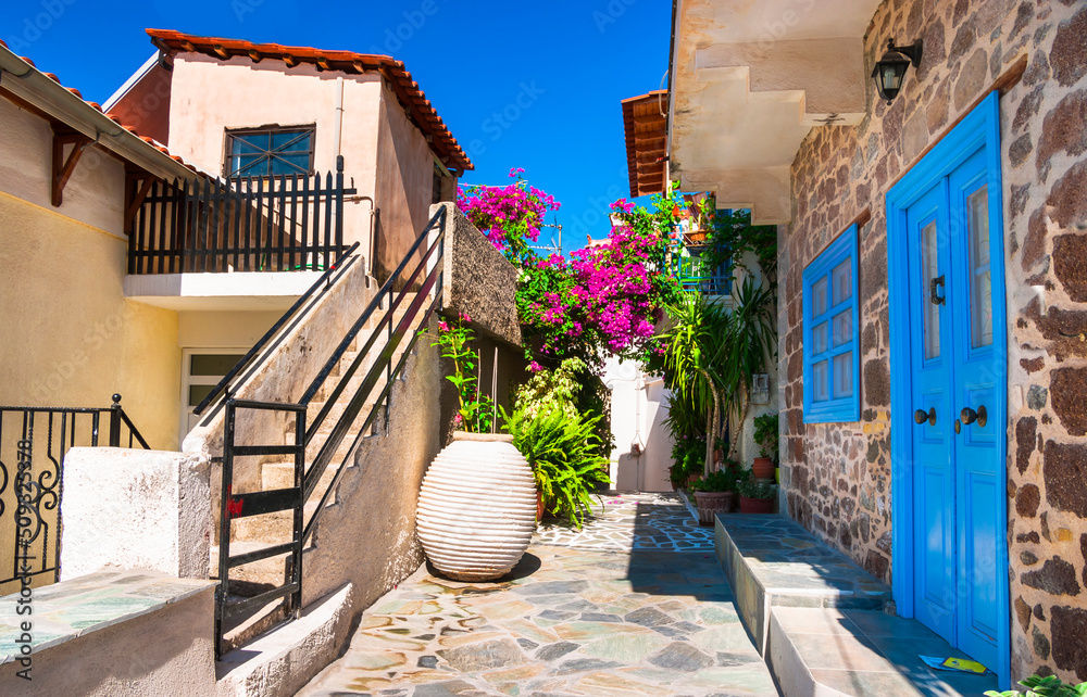 Charming typical floral streets of Greek islands with whitewashed ...