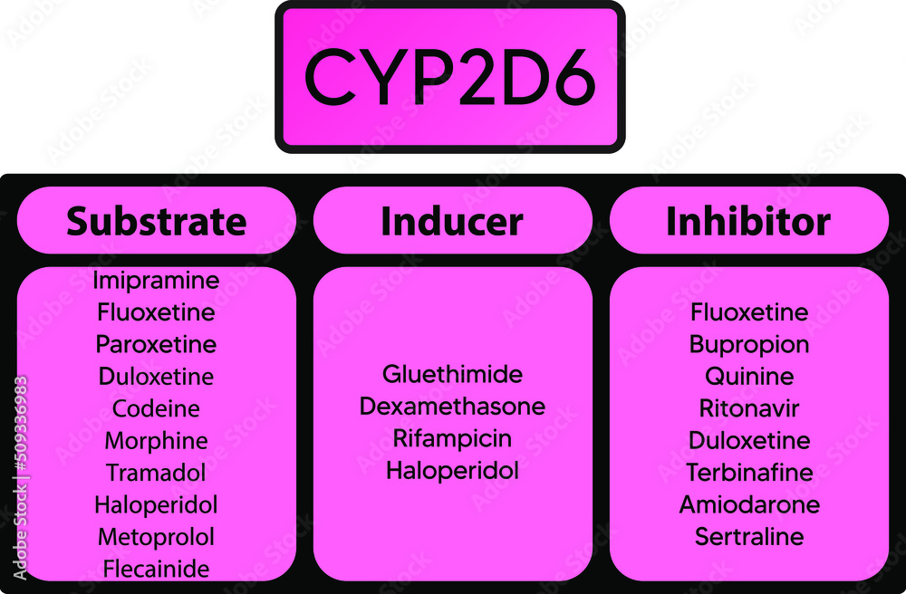 CYP2D6 Cytochrome p450 enzyme pharmaceutical substrates, inhibitors and ...