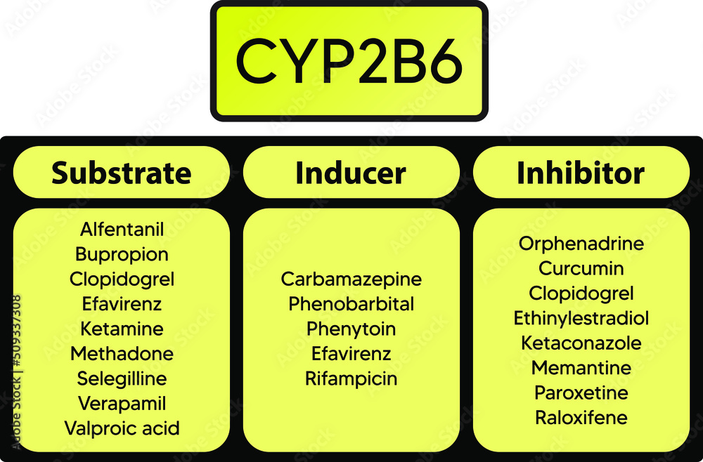 CYP2B6 Cytochrome p450 enzyme pharmaceutical substrates, inhibitors and ...