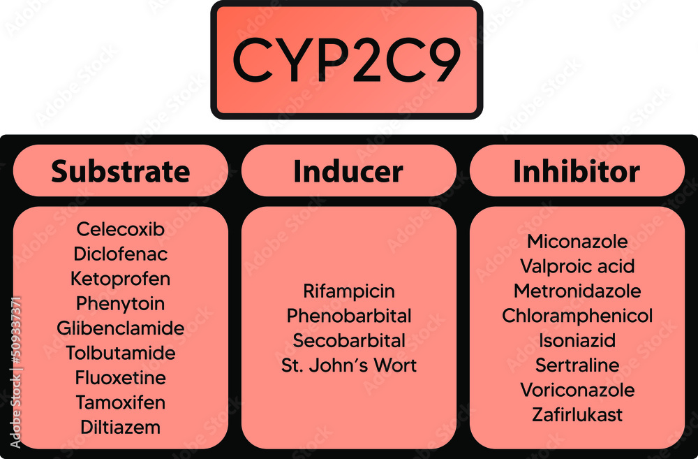 Vettoriale Stock CYP2C9 Cytochrome p450 enzyme pharmaceutical ...